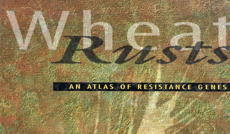 Wheat Rusts: An Atlas of Resistance Genes | Aik Saath